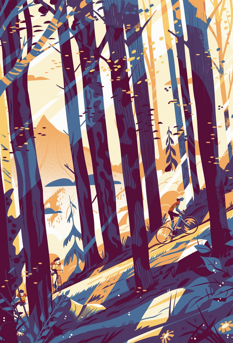 Steve Scott + Illustration